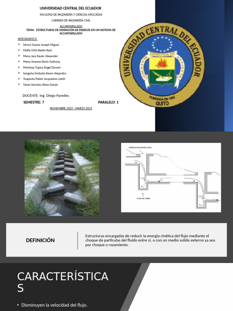 GRUPO 9_ESTRUCTURAS DE DISIPACIÓN DE ENERGÍA EN UN SISTEMA DE ...