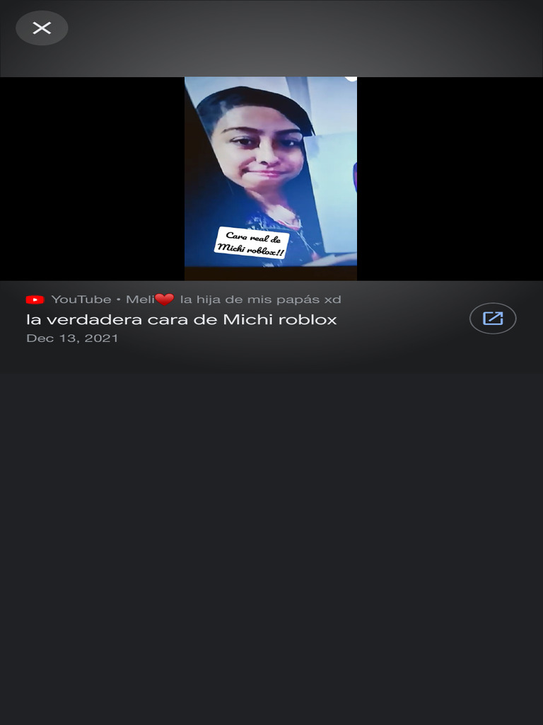 Michi Roblox Cara Real - Google Search | PDF