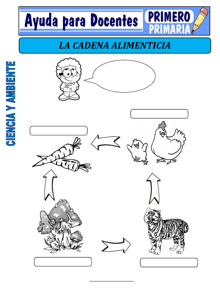 Cadena-Alimenticia-para-Primero-de-Primaria | PDF