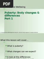 Puberty Changes Worksheet | PDF