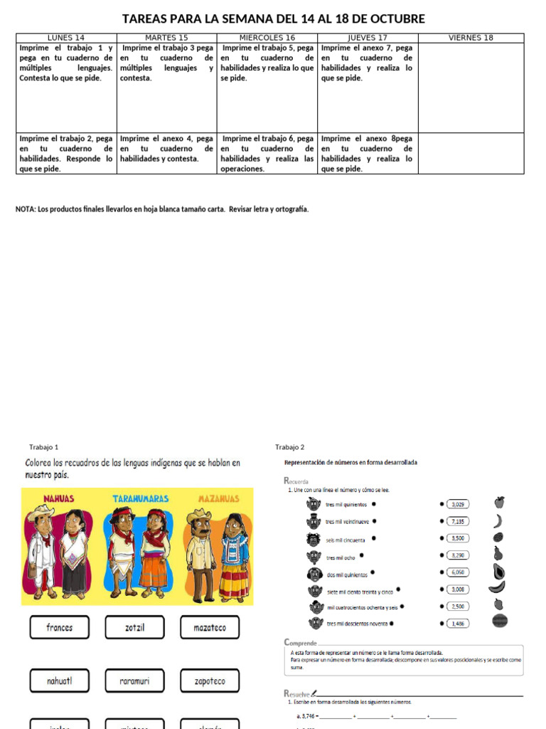 TAREAS PARA LA SEMANA DEL 14 AL 18 DE OCTUBRE 3° | PDF