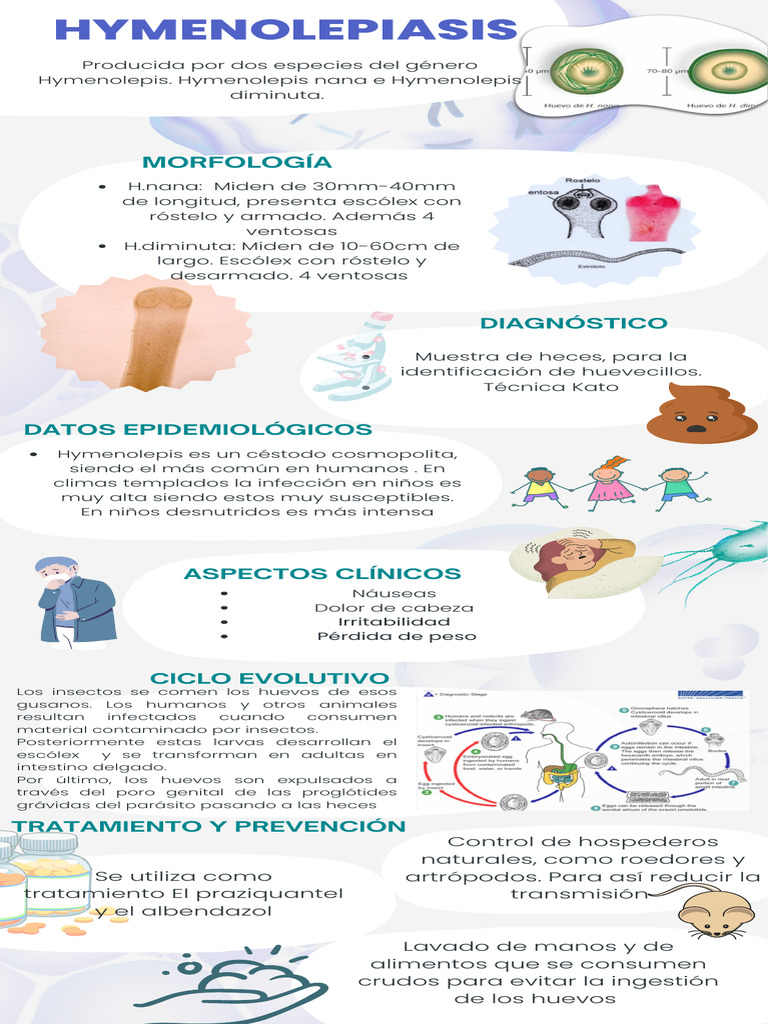 Hymenolepiasis Cestodos | PDF | Ciencia y matemáticas