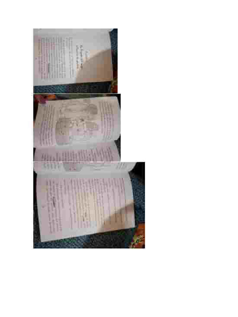 Gradian Actualizado - Compressed (1) - 11zon | PDF