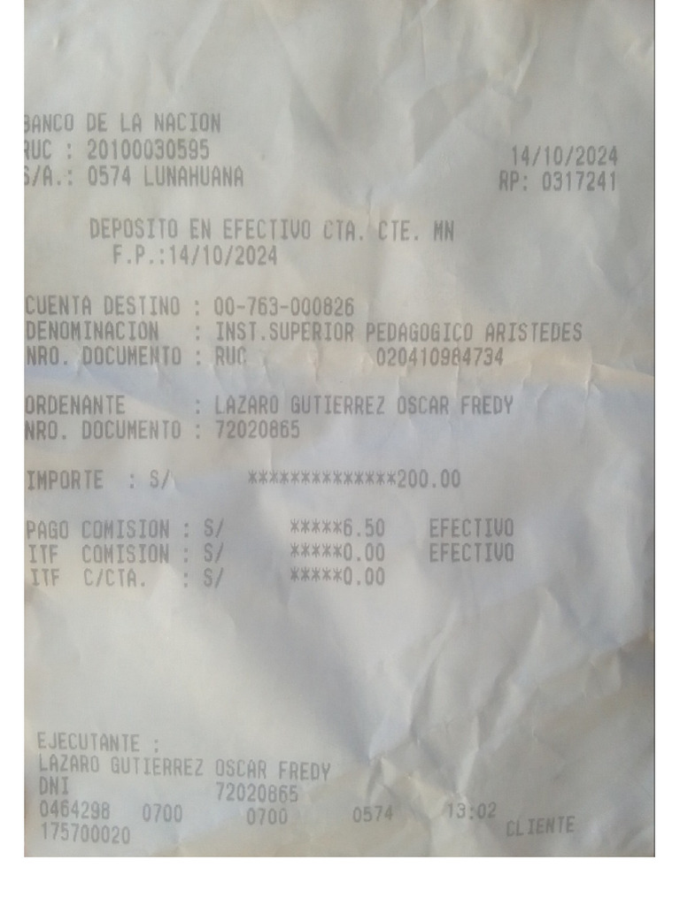 ACE Scanner_2024_10_17 (1) | PDF