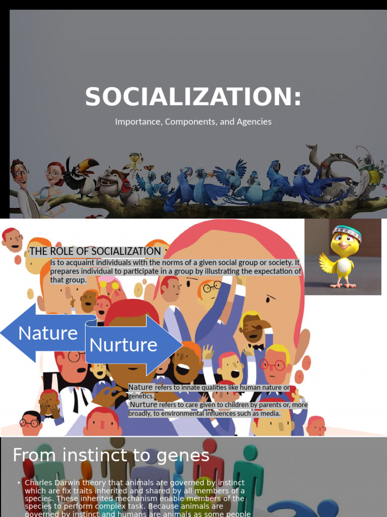 Understanding Socialization: Key Concepts | PDF | Socialization ...