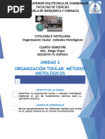 Colorantes Histológicos Más Comunes | PDF | Tinción | Biología Celular