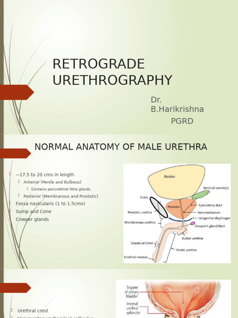 Retrograde Urethrography: Dr. B.Harikrishna PGRD | PDF | Urology ...