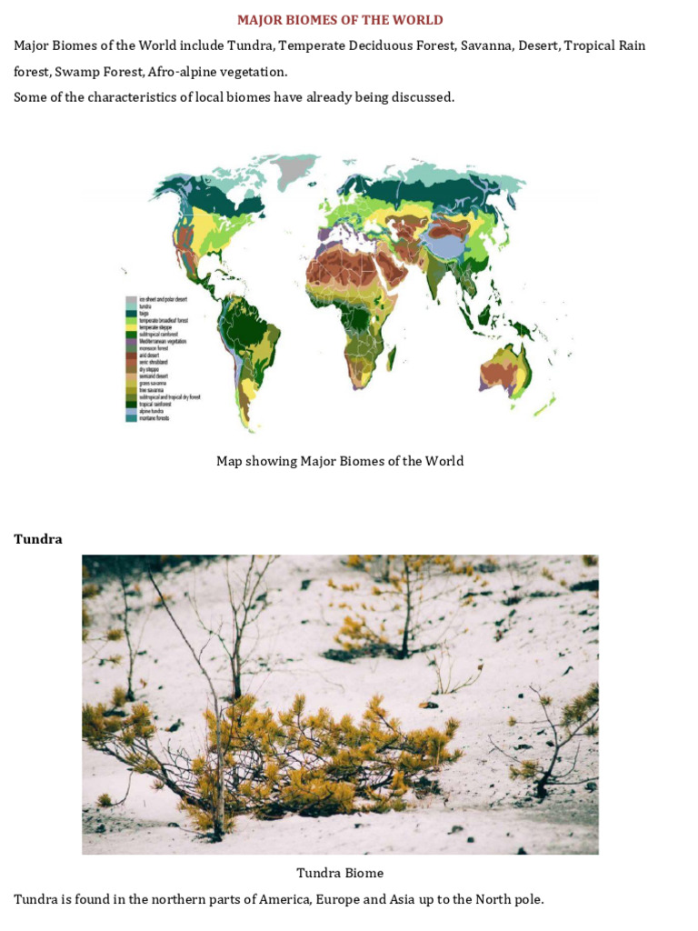 1.2.10 Major Biomes of The World | PDF | Forests | Temperate Climate
