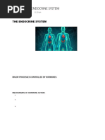 GR 12 LS Topic 7 - Human Endocrine System and Homeostasis | PDF ...