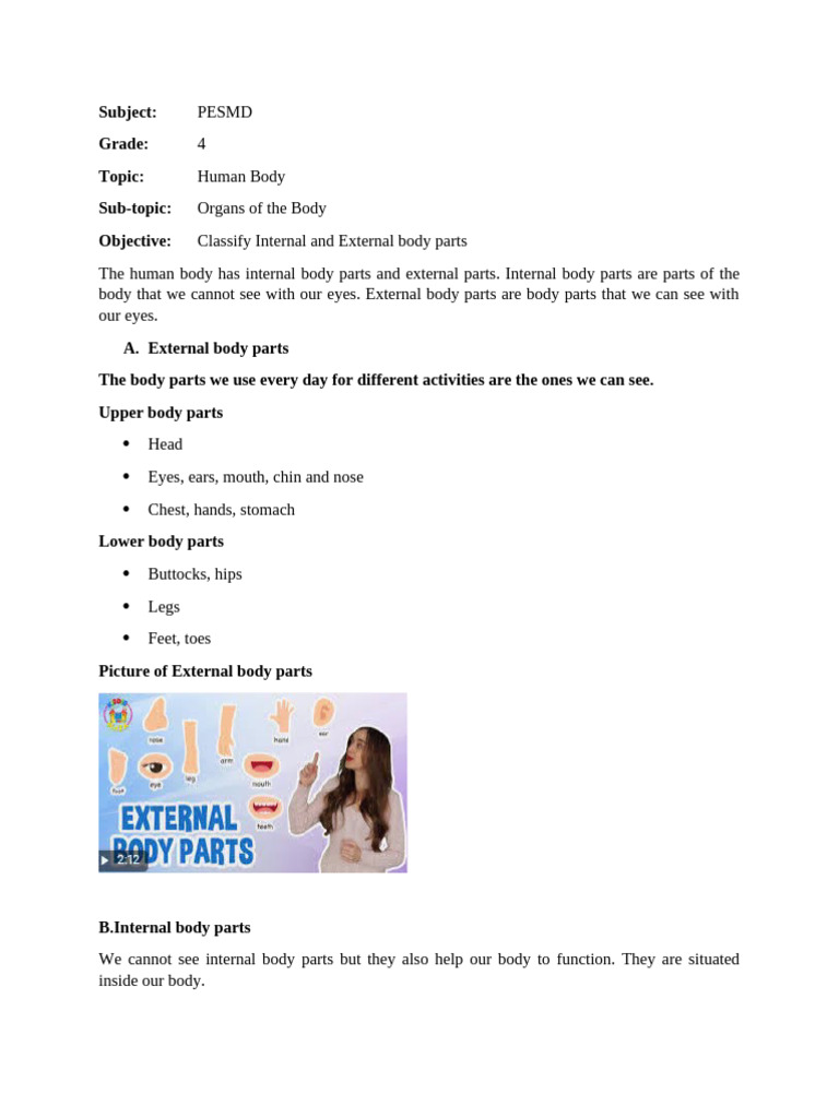 HUMAN BODY Classify Internal and External Body Parts 4 | PDF