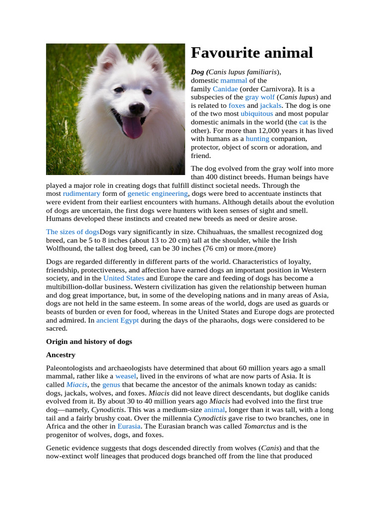 Practical no 3 | PDF | Dogs | Canidae