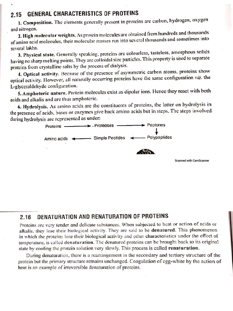 Denaturation of Protein | PDF