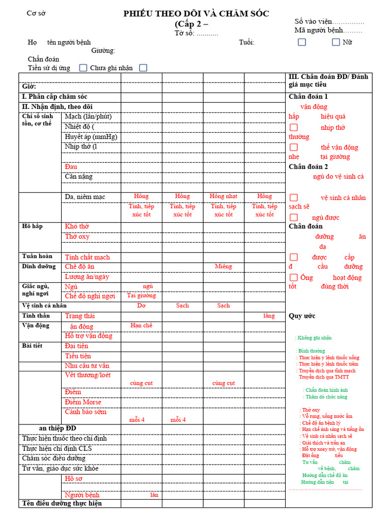 CS-02. Phieu Cham Soc Cap 2-3 BVTD VI Du 1 | PDF