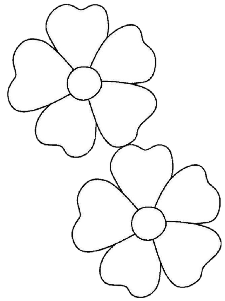 Flor Aro Correcta | PDF