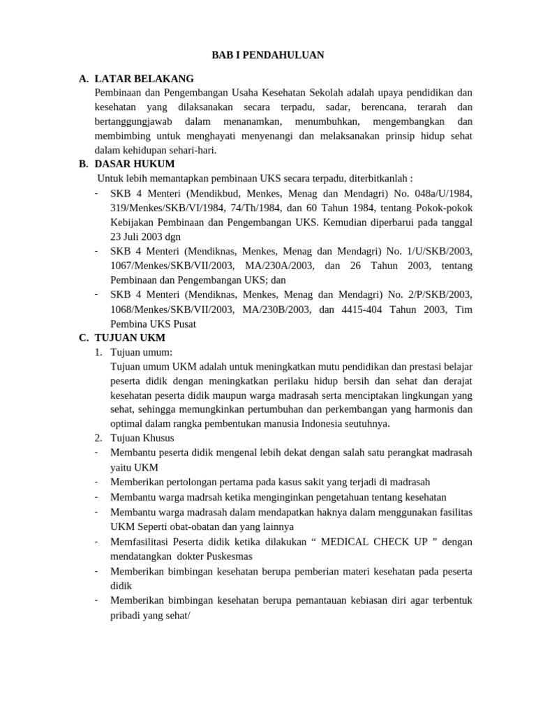 PROGRAM KERJA P3K BLM Print | PDF