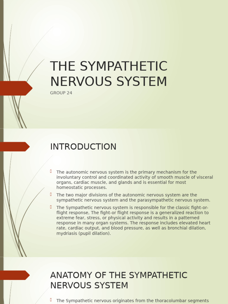 The Sympathetic Nervous System Group 24 221-1 | PDF | Autonomic Nervous ...