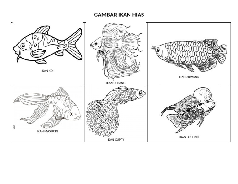 Ikan Koi | PDF