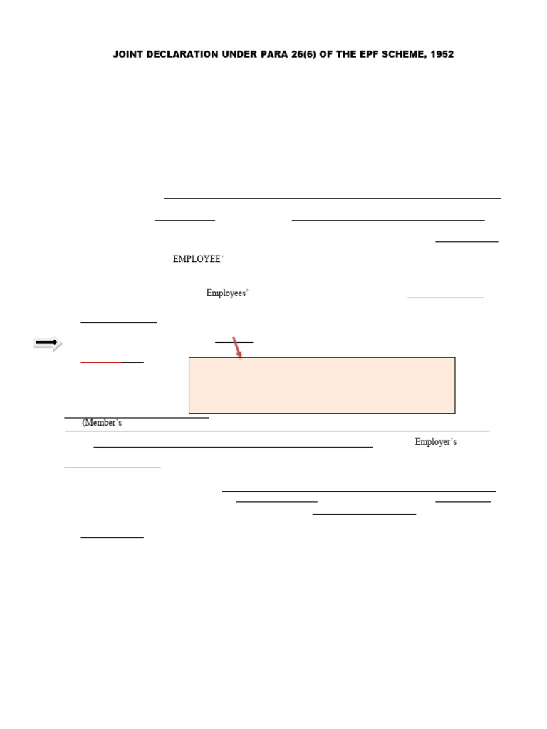 Sample+Joint-Declaration-for-VPF+2024 | PDF