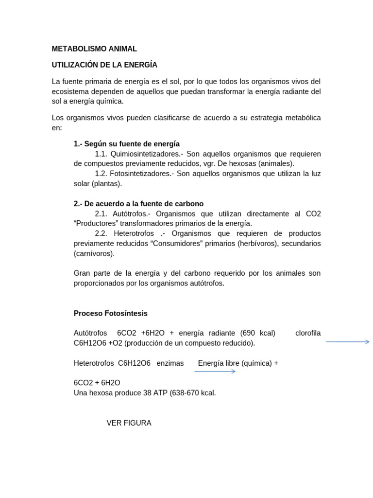 Metabolismo Animal Parte 1 | PDF | Digestión | Bilis