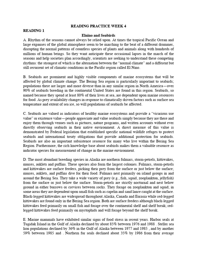 READING PRACTICE WEEK 4 | PDF | Seabird | Port