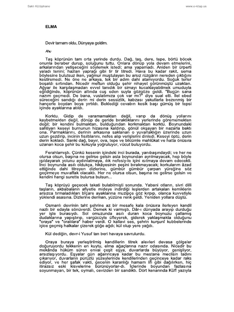 ElifSafak Pinhan | PDF