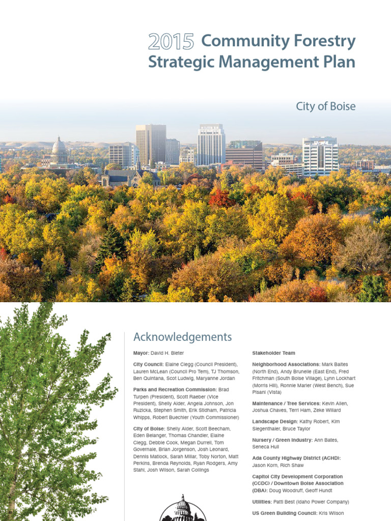 Bosire Forestry Plan | PDF | Forestry | Strategic Planning