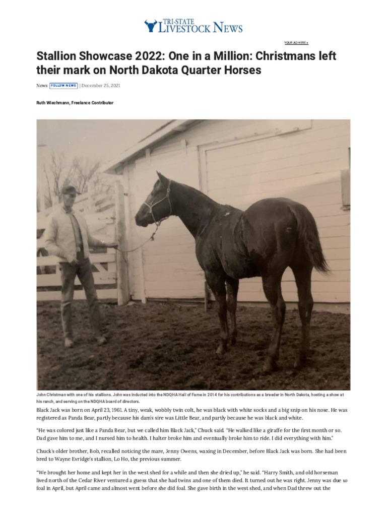 Stallion Showcase 2022 - One in A Million - Christmans Left Their Mark ...