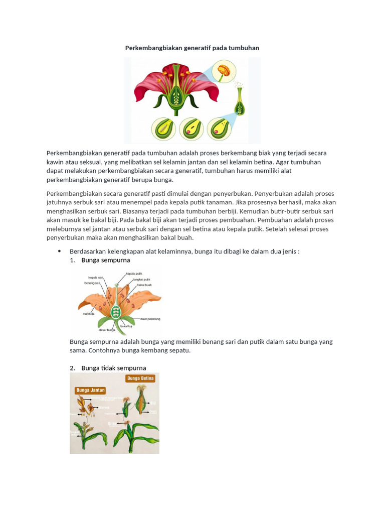 Perkembangbiakan Generatif Dan Vegetatif Pada Tumbuhan | PDF