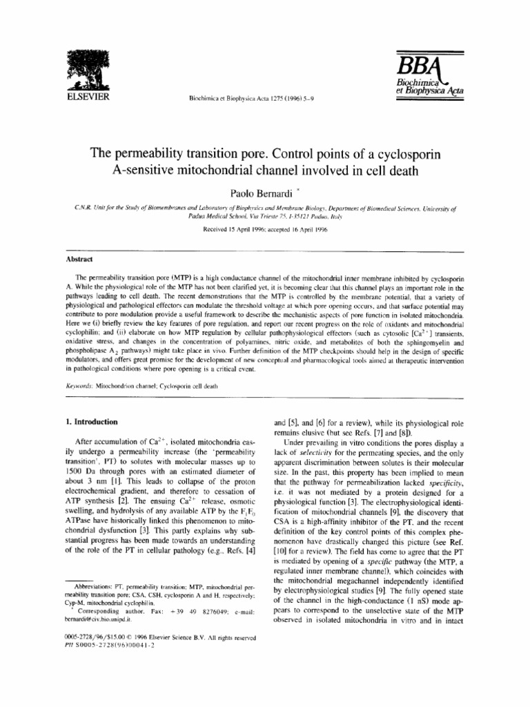 BERNARDI_Transition_Pore_1996_5pgs_EFS | PDF