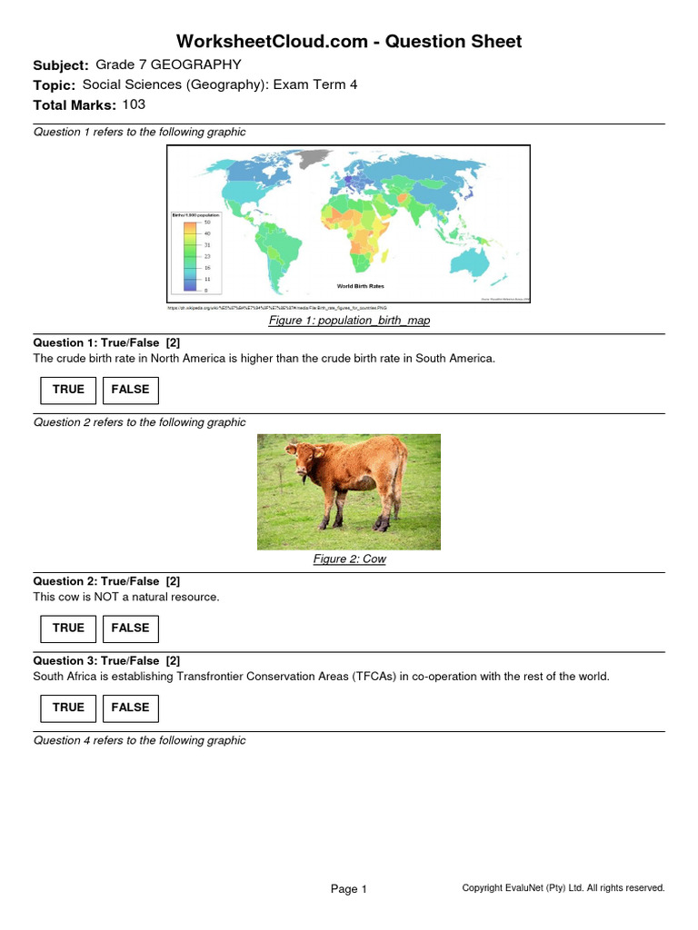 G7 Geography Term 4 Exam | PDF | Obesity | Life Expectancy