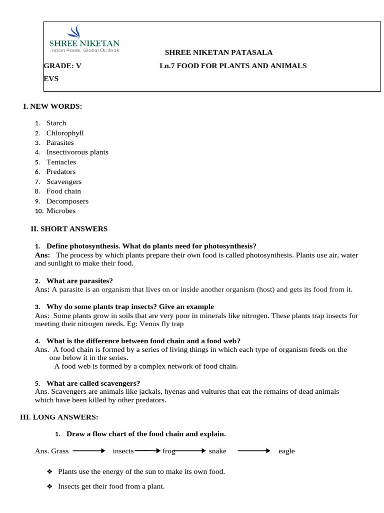 G5 - EVS - CN - Ln-7.Food For Plants and Animals | PDF | Foods | Plants