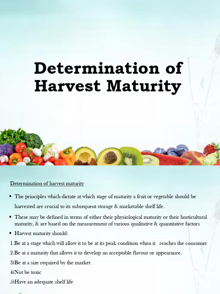 Determination of Harvest Maturity | PDF | Fruit | Vegetables