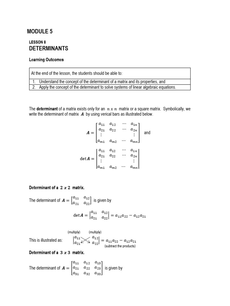 Module 6 | PDF | Matrix (Mathematics) | Determinant