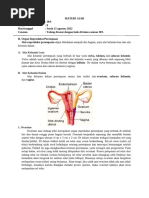 Organ Reproduksi Wanita: Fungsi dan Struktur | PDF