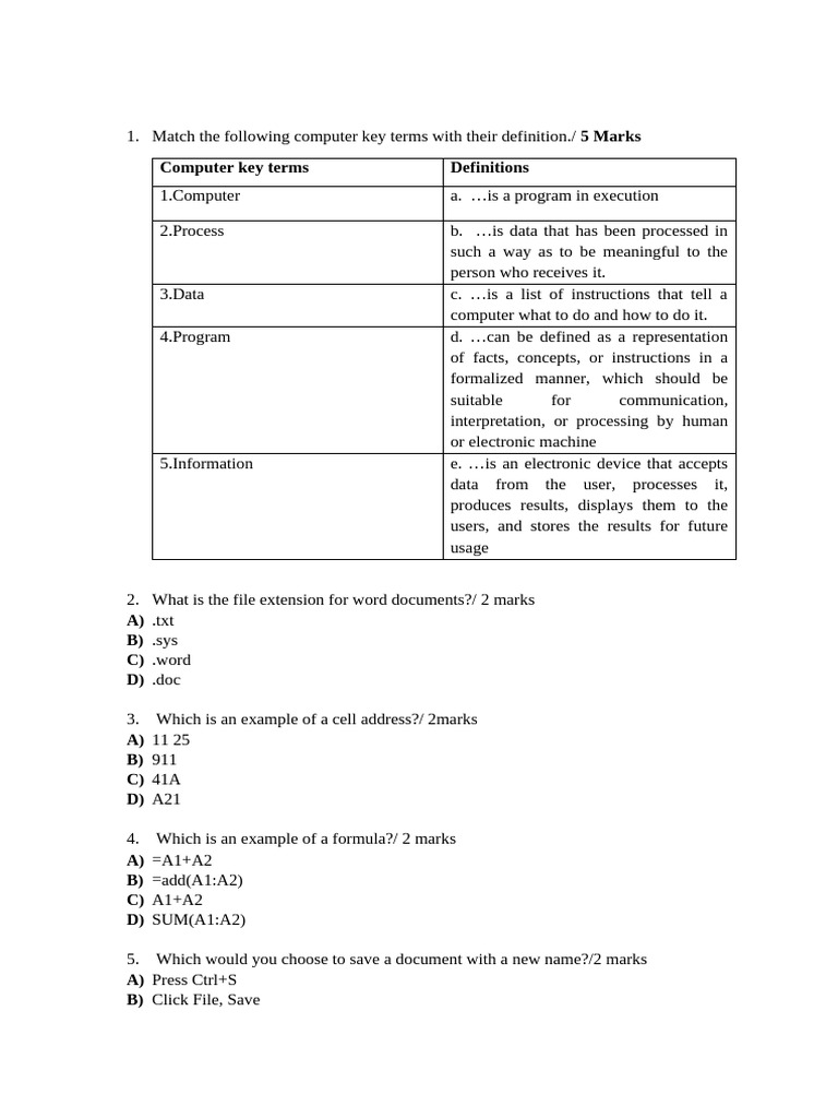 Computer Terminology and Basics Quiz | PDF