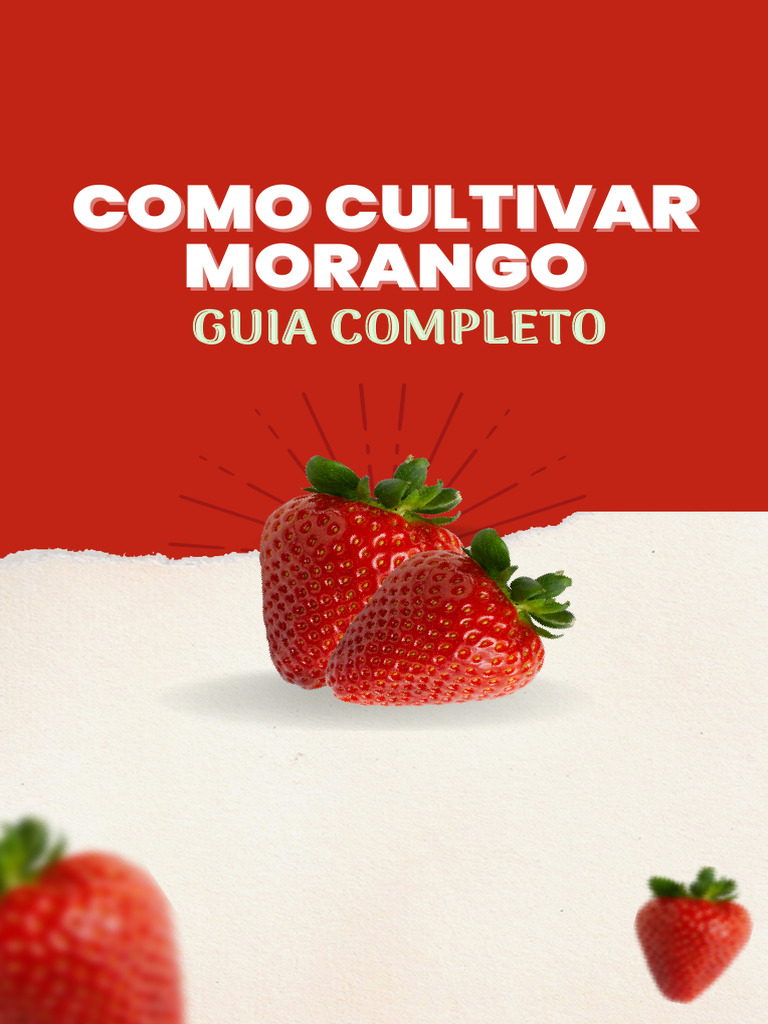 Guia Como Cultivar Morango | PDF | Composto | Fertilizante