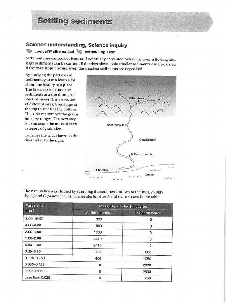 Settling Sediments Worksheet | PDF