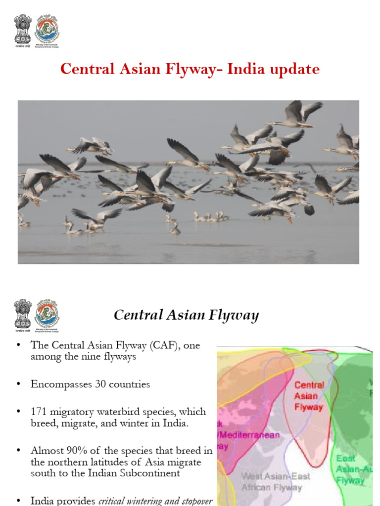 Central Asian Flyway-India Update | PDF | Birds | Ornithology