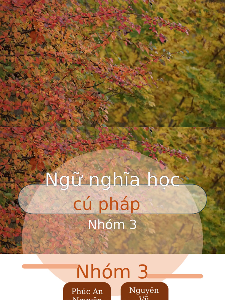 Nhóm 3 - Thuyết Trình NNHDC - 18.10 | PDF