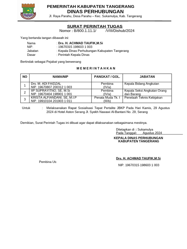 Struktur Organisasi Dinas Perhubungan | PDF