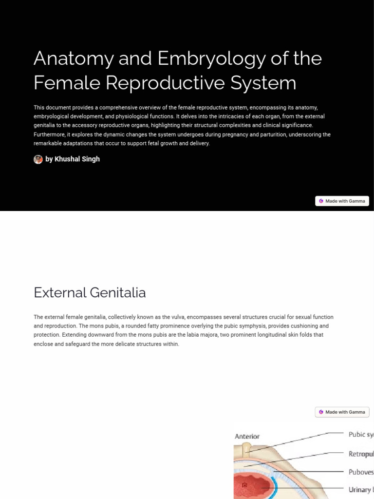 Anatomy and Embryology of The Female Reproductive System | PDF | Vagina ...
