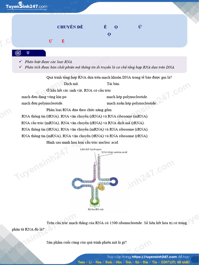 De Thi BTVN Rna Va Qua Trinh Phien Ma 1721623193 | PDF