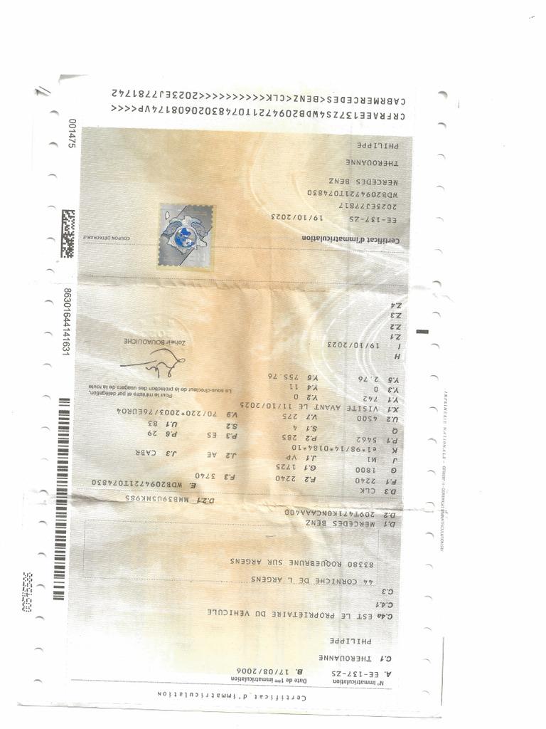 Carte Grise Recto Mercedes PDF | PDF