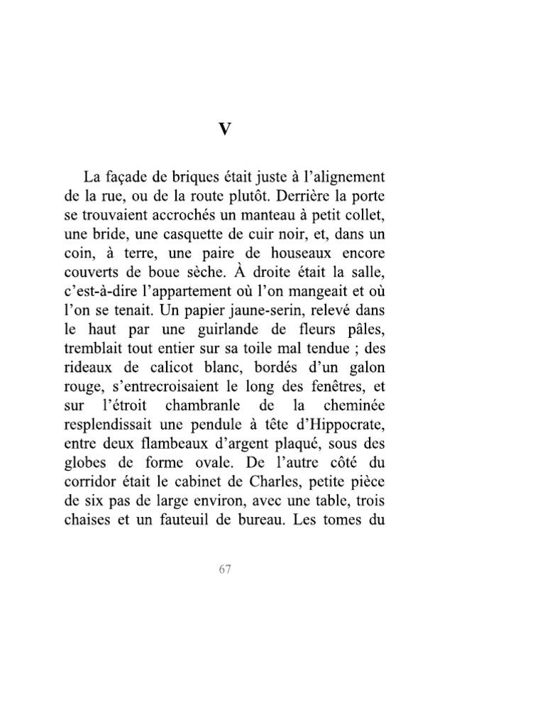 Extrait Madame Bovary | PDF