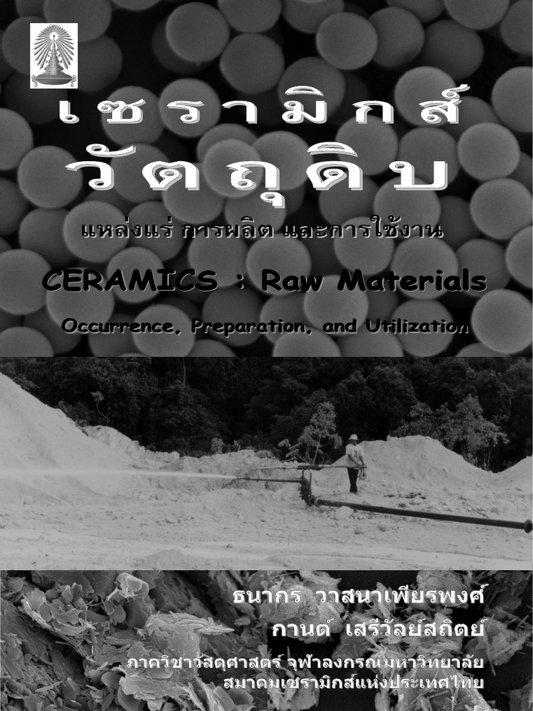 Raw Material | PDF