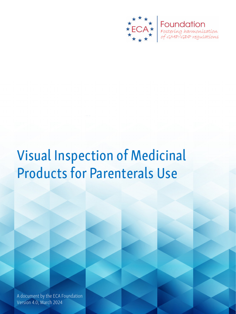 Visual Inspection Guide V4 March 2024 | PDF | Lighting | Verification ...
