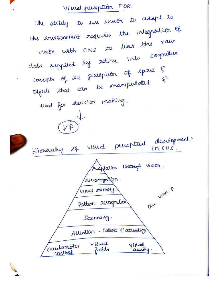 ACE Scanner_2024_10_21 | PDF