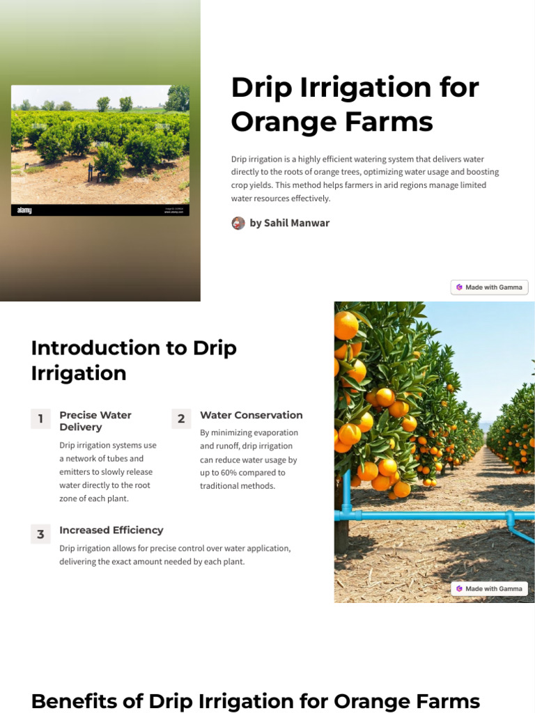 Drip-Irrigation-for-Orange-Farms | PDF | Irrigation | Hydrology