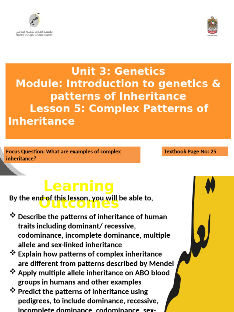 Genetics & Inheritance Patterns | PDF | Dominance (Genetics) | Genotype