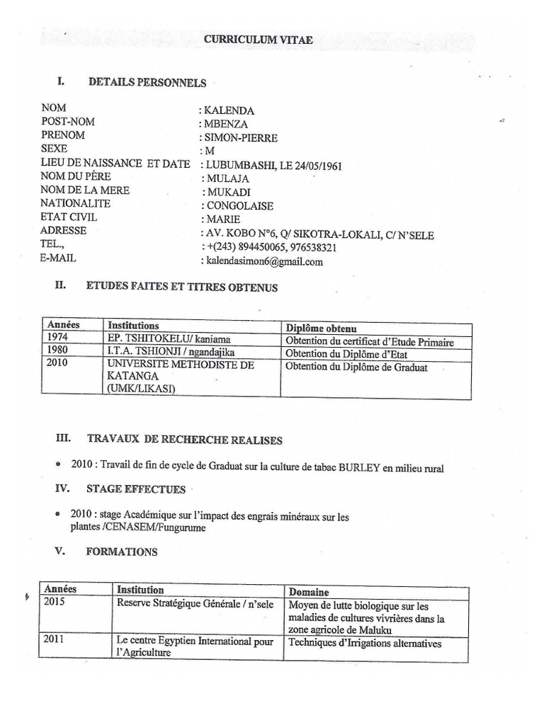 Curriculum Vitae Kalenda Mbenza Simon Pierre | PDF
